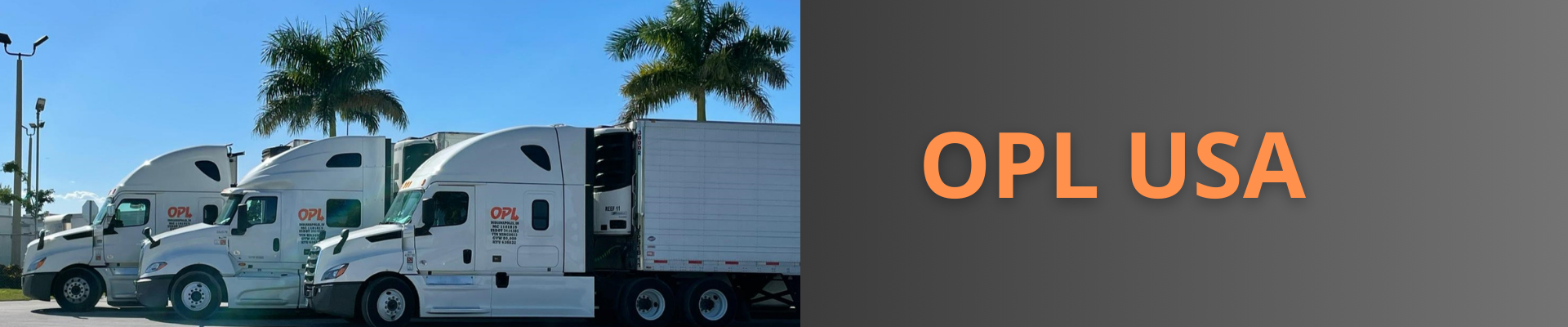 .: OPL :. Operadores Logísticos de carga. Seguridad y cumplimiento en ...